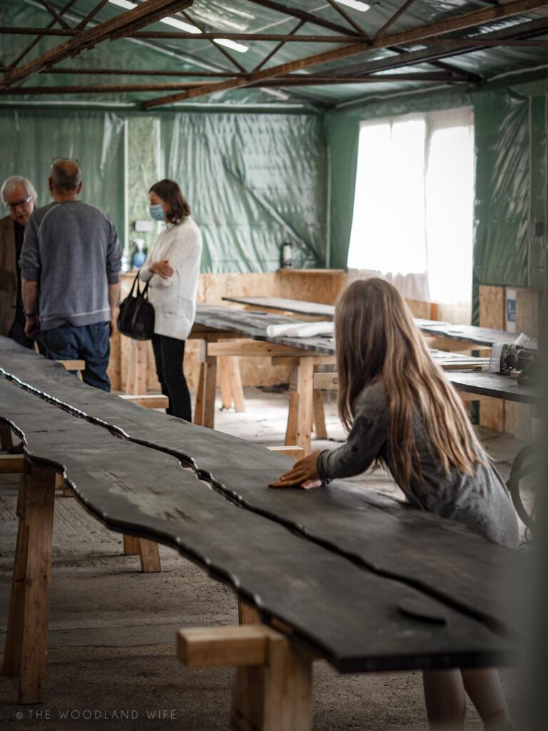 The Fenland Black Oak Project - A gift for the nation